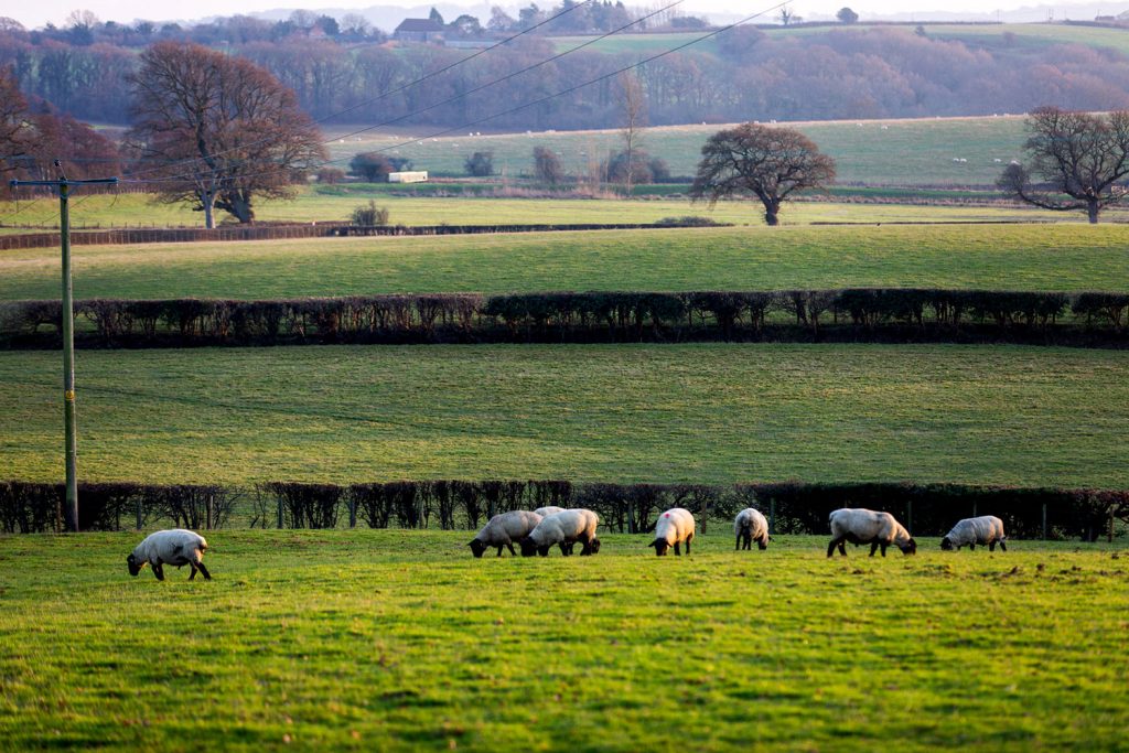About - Hare Farm Hideaways