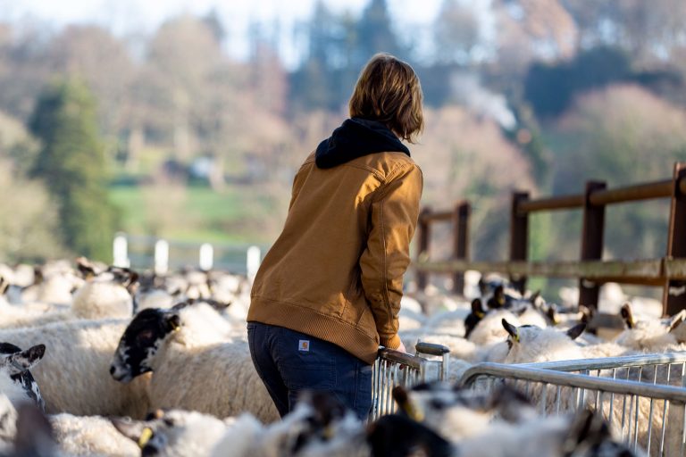 About - Hare Farm Hideaways