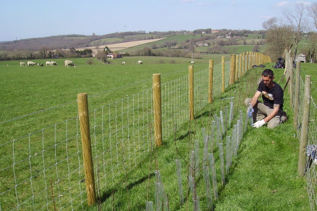 Farm - Hare Farm Hideaways
