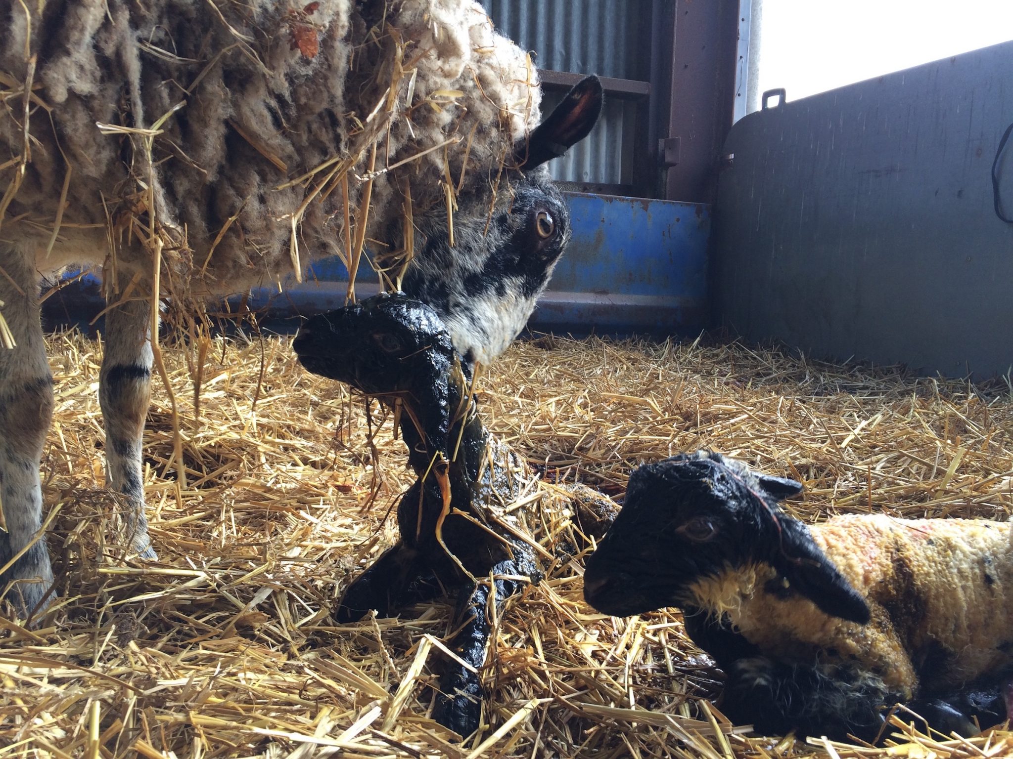 Farm - Hare Farm Hideaways